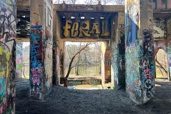 On the Commons | Antonia Malchik | Substack