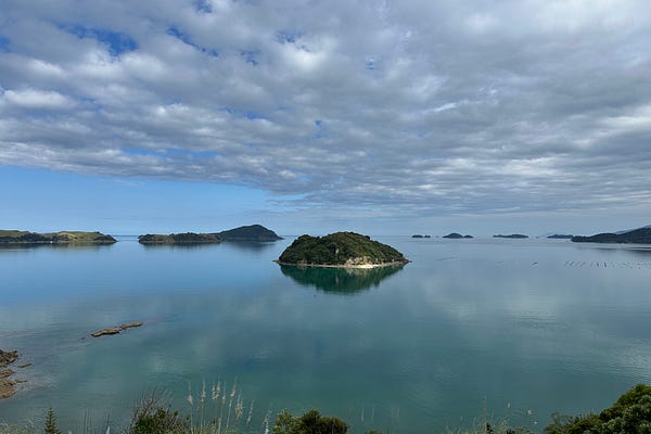 Predirections | Jonathan Tonkin | Substack