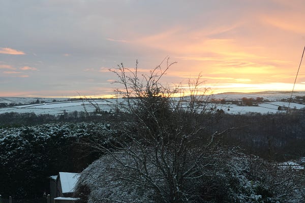 Wild Way: Gardening with Wildlife by Jack Wallington | Substack