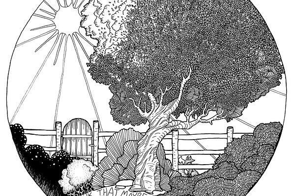 Jenny’s Substack - Let's art together | Jenny Lawson (thebloggess) | Substack