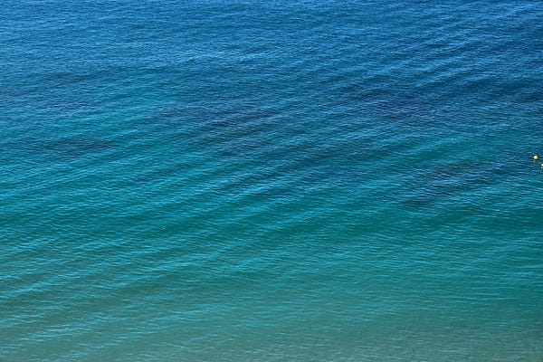 Leer por leer | Amaya Ascunce | Substack