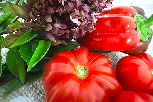 posy & kettle | Sandra Hinchliffe | Substack