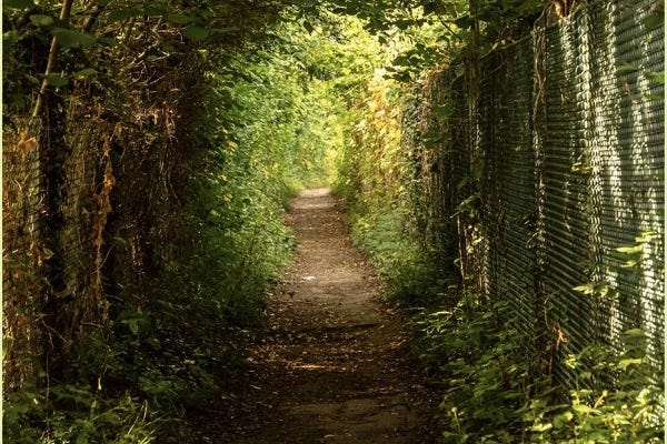 Best of Pentax Forums Newsletter | PentaxForums.com | Substack