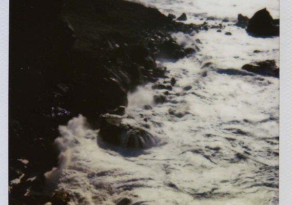 Dispatches From the Basement | Joseph Massey | Substack