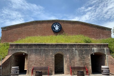 📈 LEMMING INVESTOR RESEARCH by 📈Small Company Champion | 🐝 Elric Langton | Substack