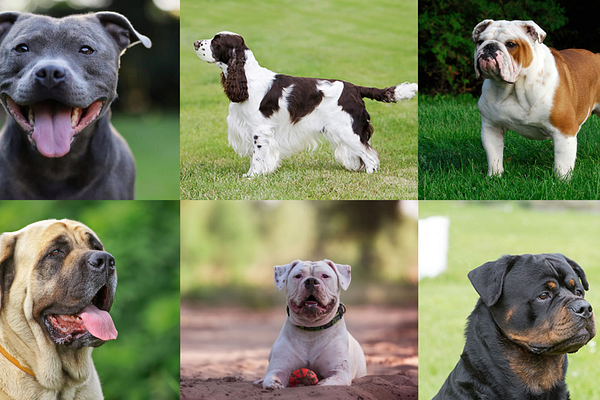 Preventable Deaths Tracker | Dr Georgia Richards | Substack