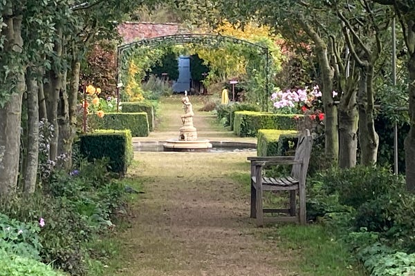 From Seed to Bloom | Camilla Grayley | Substack