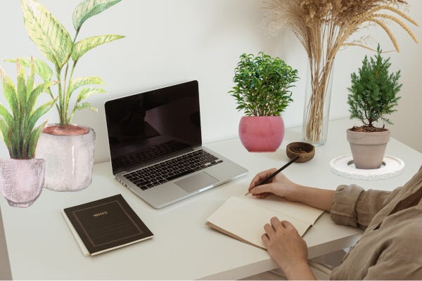 Positive Ageing Matters at Patricia’s Substack | Patricia Cusack | Substack