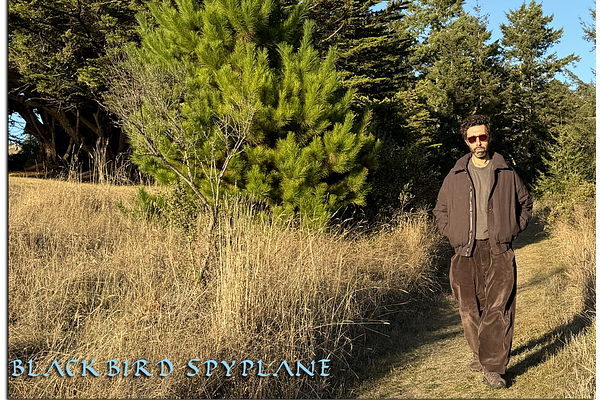 Blackbird Spyplane | Substack