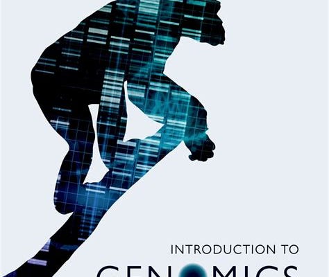 The American Sun | Hank Oslo | Substack