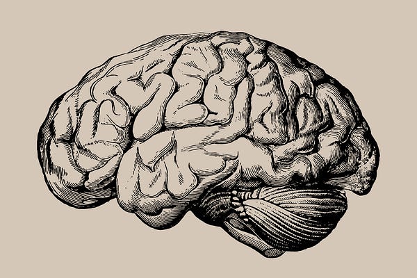 Jardín Mental | Álvaro García | Substack