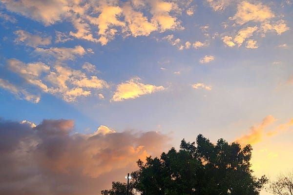 Palabras con Alma | Alejandra Velázquez | Substack