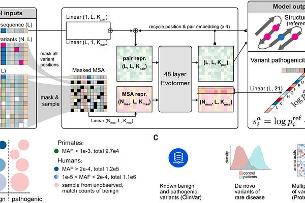 Life, explained | Simona Cristea | Substack