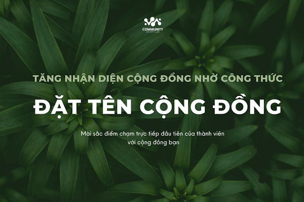 Community Growth Lab | Linh Phan | Substack