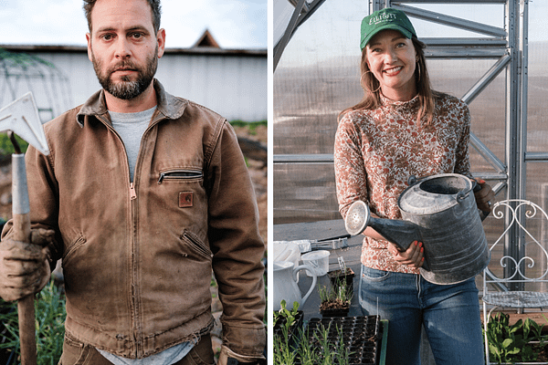 The Elliott Homestead Newsletter | Shaye Elliott | Substack