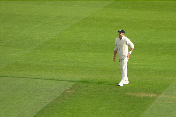 Cricket Et Al | Substack