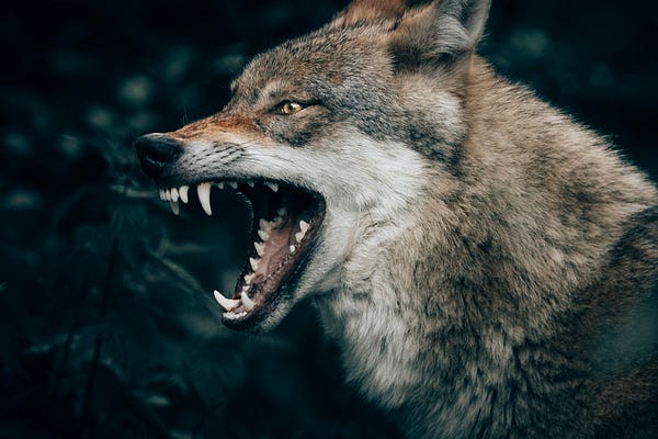 편안한 한국어 연습 - Korean Through Fiction | Substack