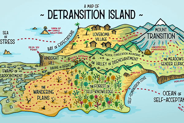 Inspecting Gender | Substack