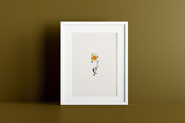 Starhan Garden | Substack