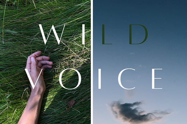 Sarah Blondin | Substack