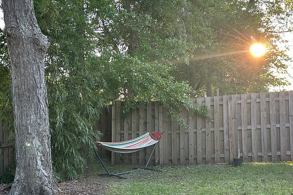 The Wonder Habit™ with D. Michele Perry | Substack