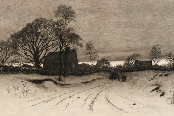 Slowdown Farmstead | Tara | Substack