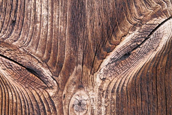 Exclusive Episodes of Subversive | Alex Kaschuta | Substack