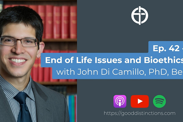 Good Distinctions | Will Wright | Substack