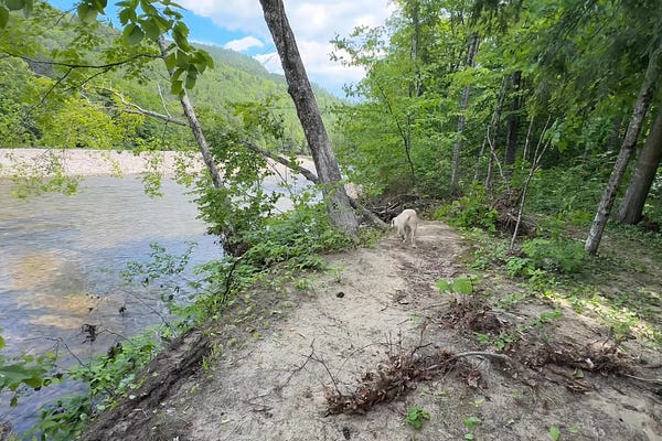 Tom Ryan, Author | Substack