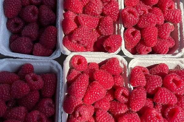 The Lemonade Stand | Katie Lemons | Substack