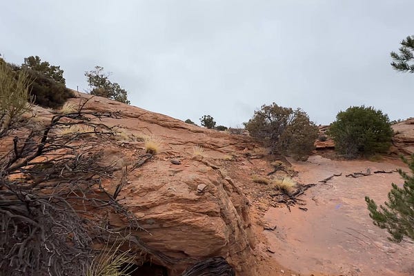 Tom Ryan, Author | Substack