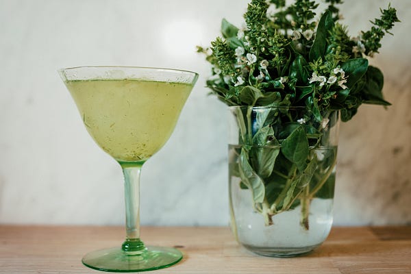 The Elliott Homestead Newsletter | Shaye Elliott | Substack