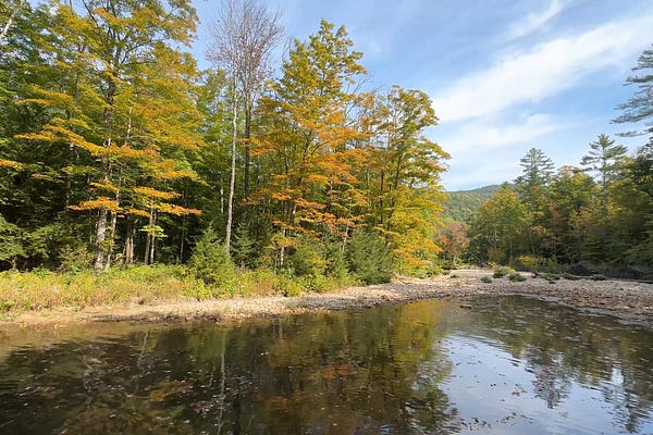 Tom Ryan, Author | Substack