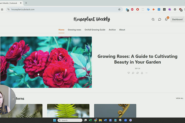 Linda's Substack | Substack
