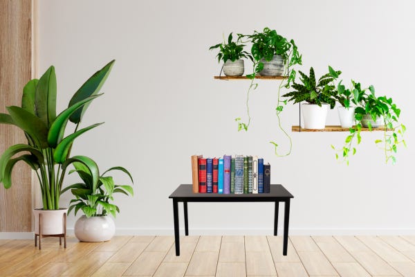 Life In The Second Half | Patricia Cusack | Substack