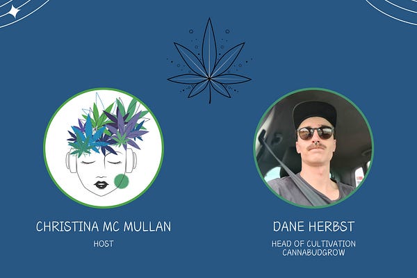 AusCannaReviews’s Substack | Christina Mc Mullan | Substack