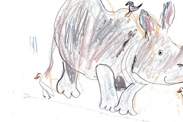 Introvert Drawing Club | Beth Spencer | Substack