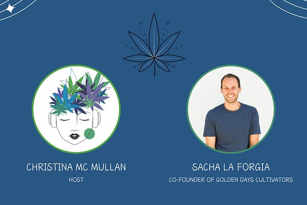 AusCannaReviews’s Substack | Christina Mc Mullan | Substack