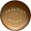 Practice Round | Preslea | Substack