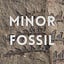 Minor Fossil | Substack