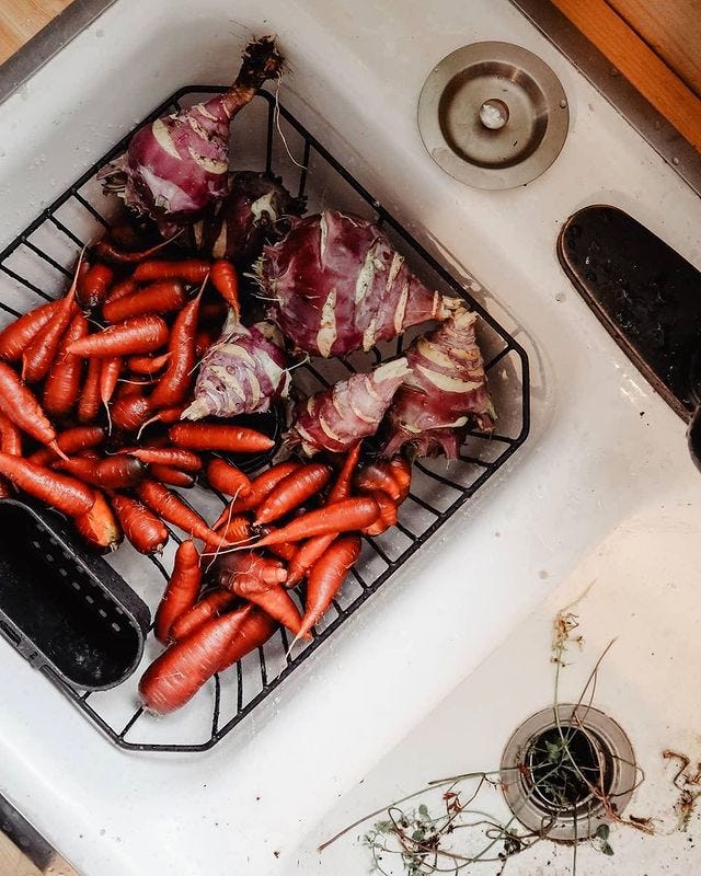 The trad mom promise of a "perfectly balanced world"