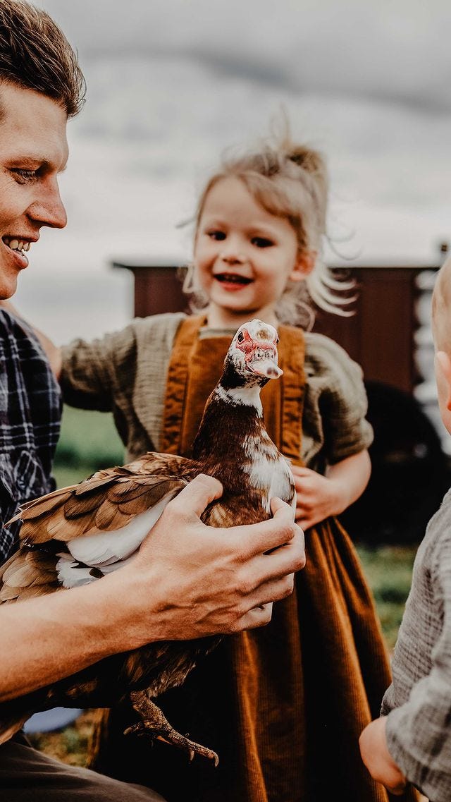 The trad mom promise of a "perfectly balanced world"