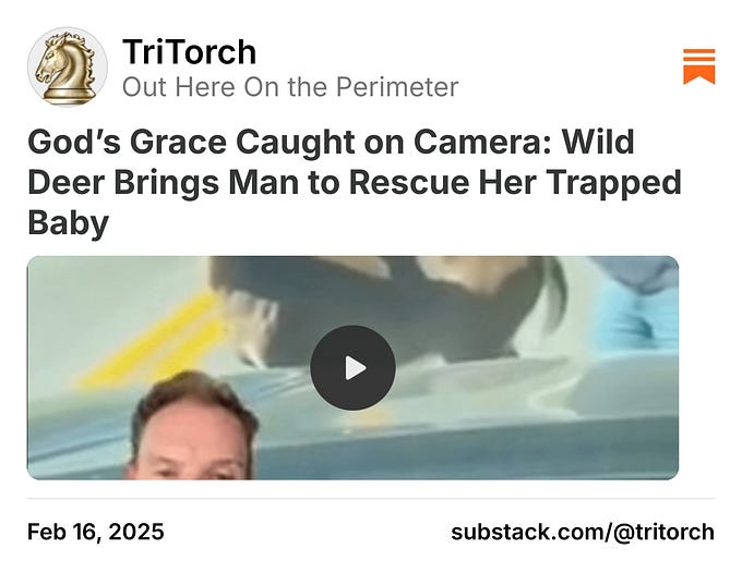 TriTorch on Substack: "God’s Grace Caught on Camera: Wild Deer Brings Man to Rescue Her Trapped ...