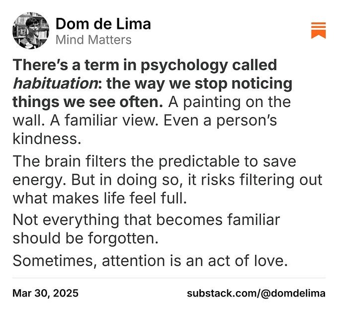Dom de Lima on Substack: "There’s a term in psychology called habituation: the way we stop ...