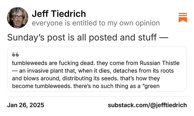 Jeff Tiedrich on Substack: "Sunday’s post is all posted and stuff