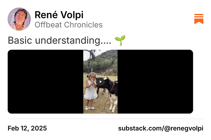 René Volpi on Substack: "Basic understanding…. 🌱"