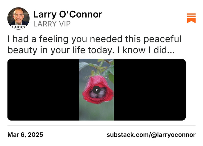 Larry O'Connor on Substack: "I had a feeling you needed this peaceful beauty in your life today ...