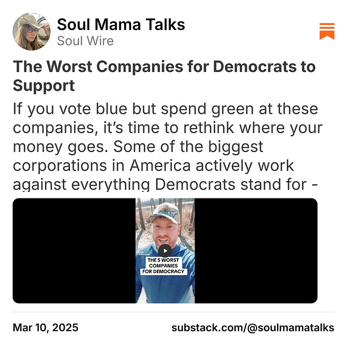 Soul Mama Talks on Substack: "The Worst Companies for Democrats to Support If you vote blue but ...