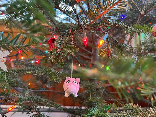 Cabot Life | Dana Robinson | Substack