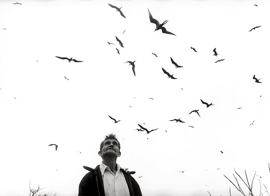 mensagem na garrafa | Priscilla Pinheiro | Substack